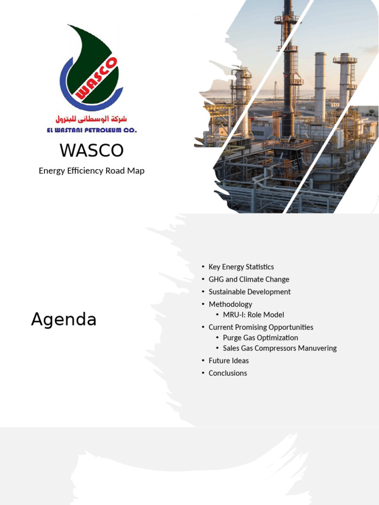 Energy Efficiency | PDF