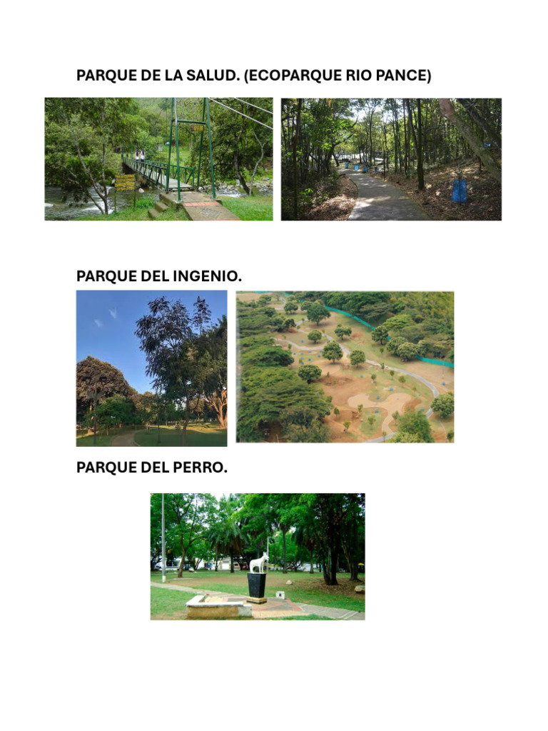 Zonas Verdes Cali | PDF