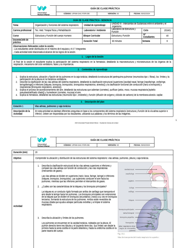 Semana 06 EyF - Guia de Práctica 06 Resuelta | PDF