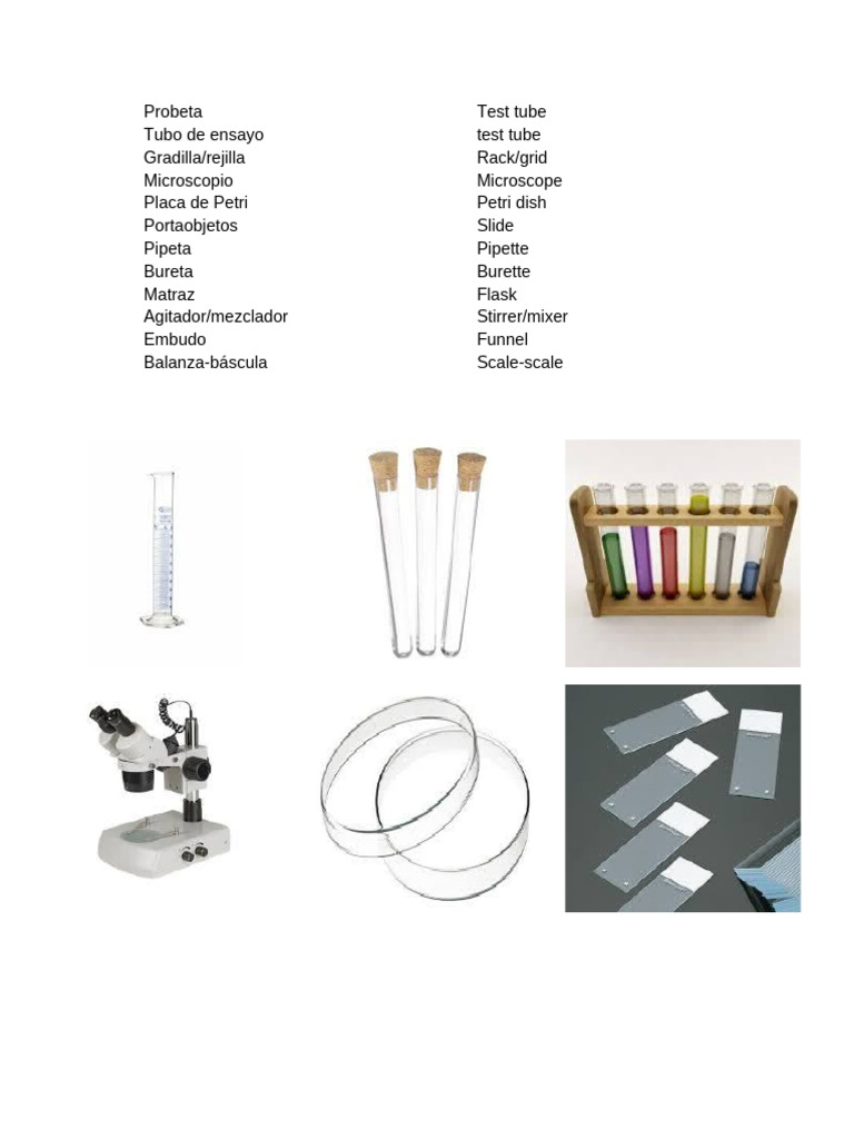 Instrumentos de Laboratorio Básicos | PDF | Cocina, comidas y vino