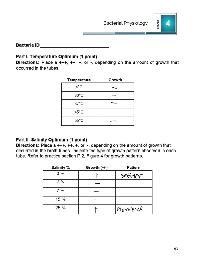 Experiment 4 Bacterial Physiology | PDF