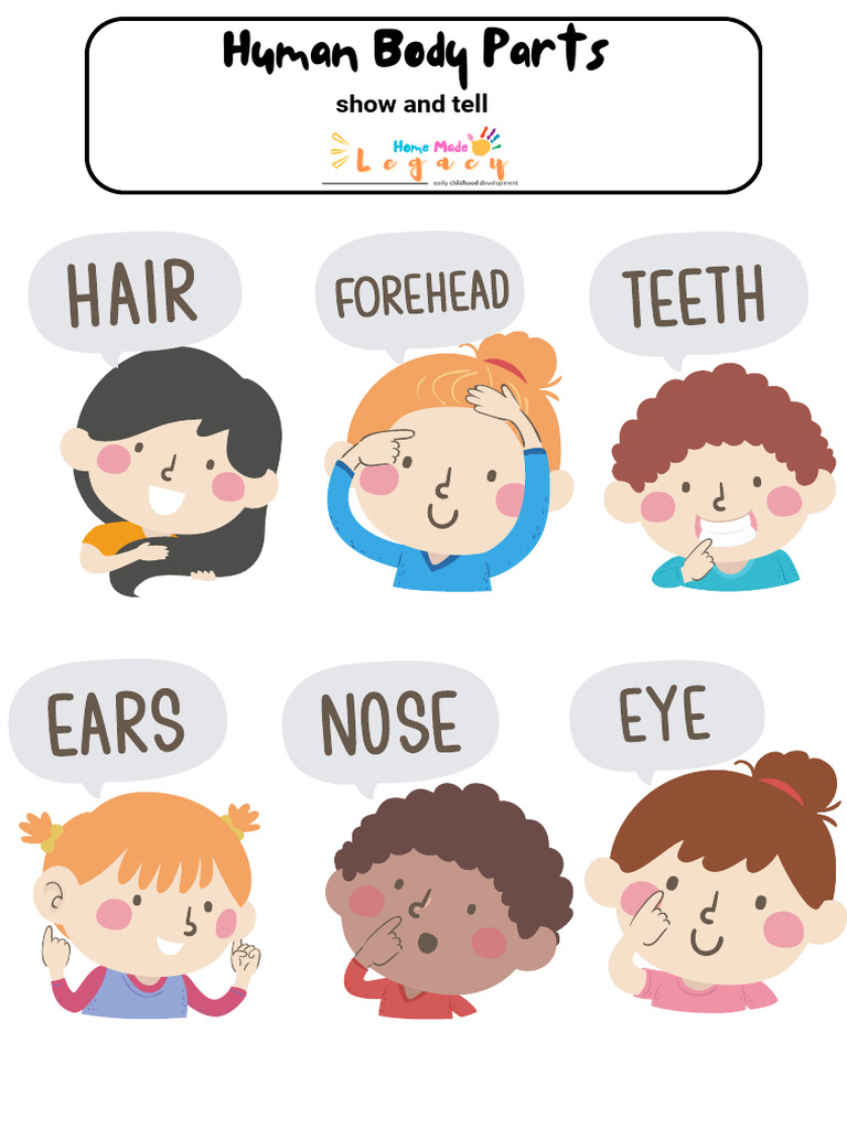 Show and Tell Body Parts | PDF