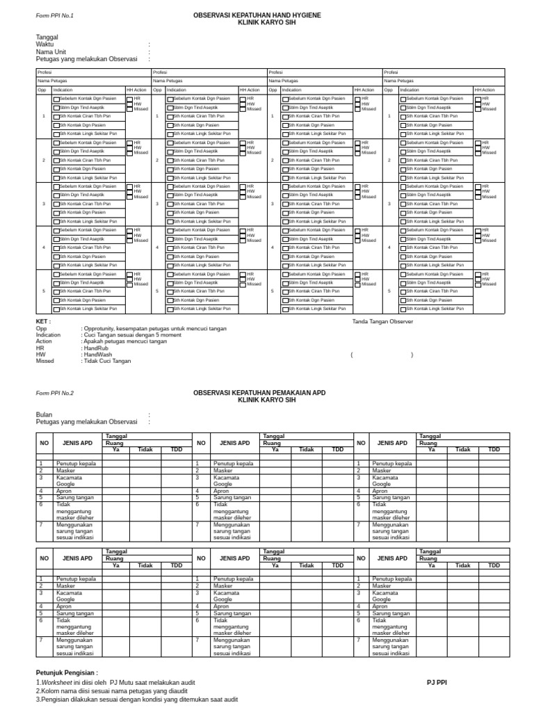 FORM AUDIT PPI | PDF
