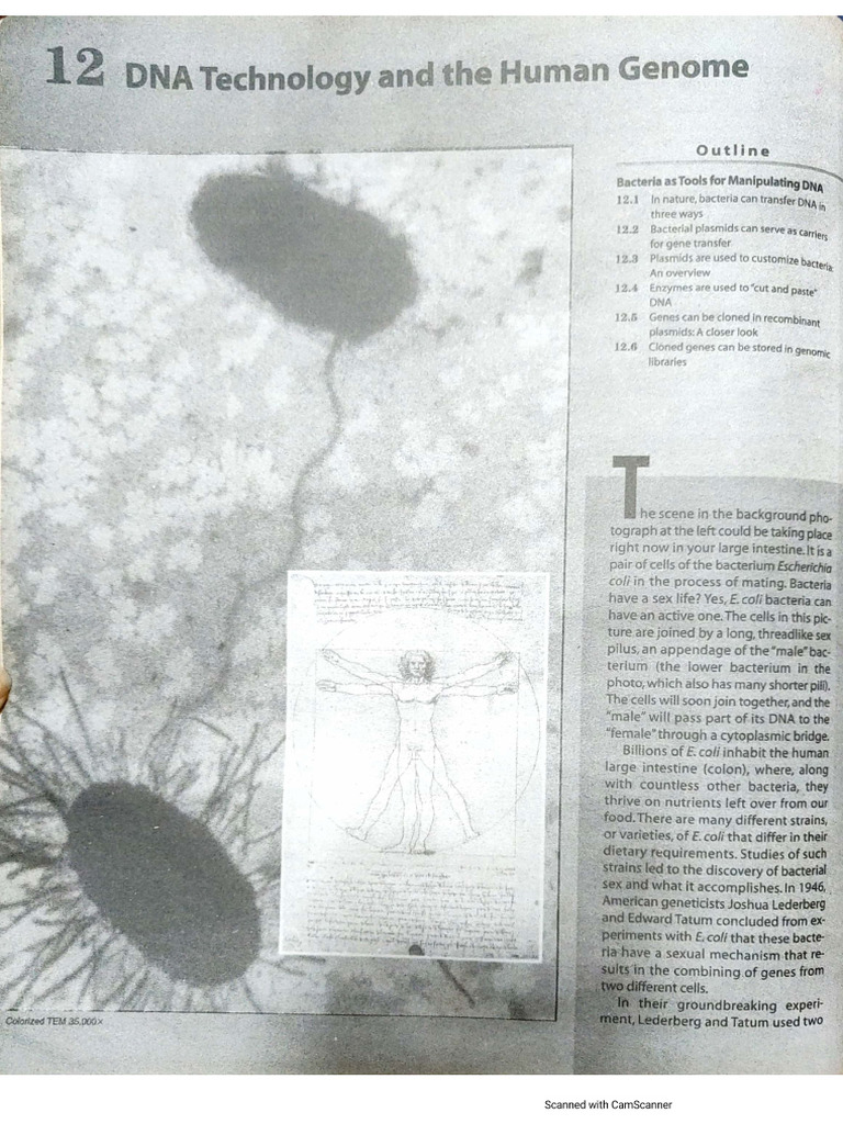 12 DNA Technology and The Human Genome | PDF