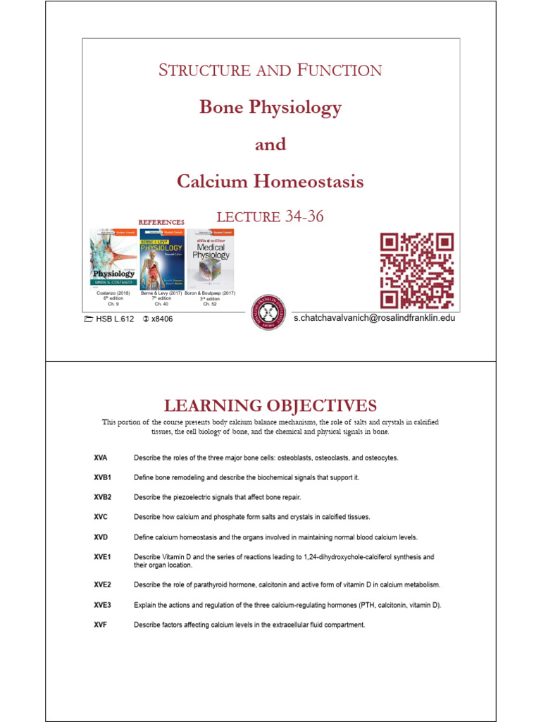 SF034-036 Bone Physiology and Calcium Homeostasis | PDF