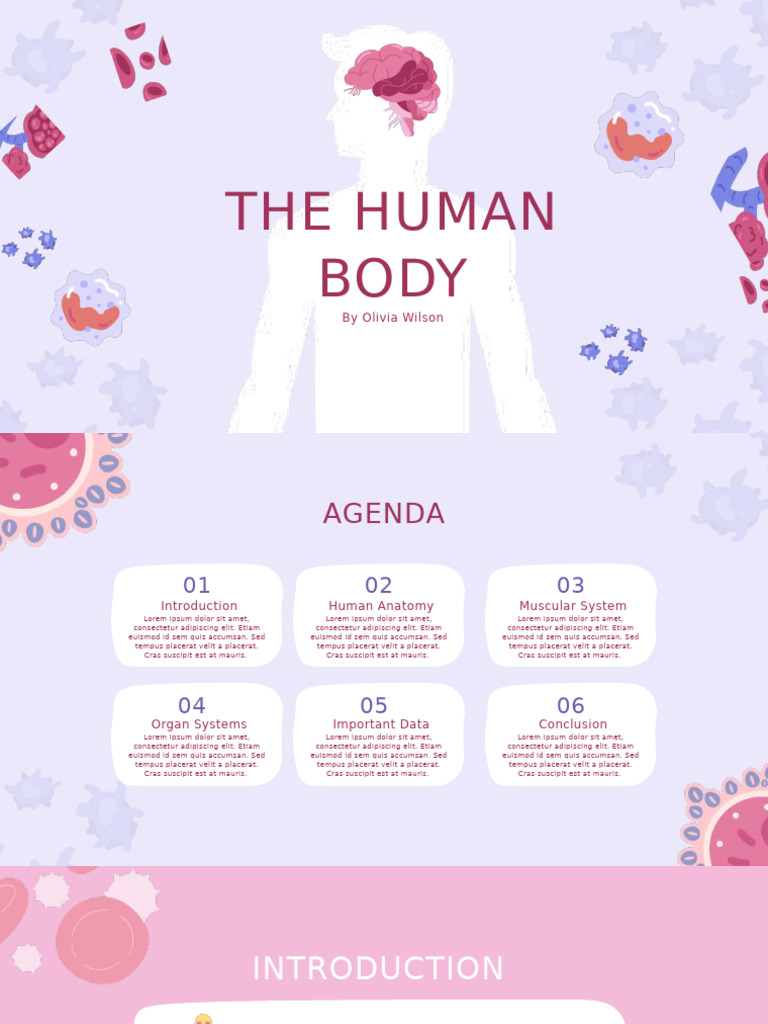 Timeline Cycle Visual Charts Presentation in Blue White Teal Simple ...