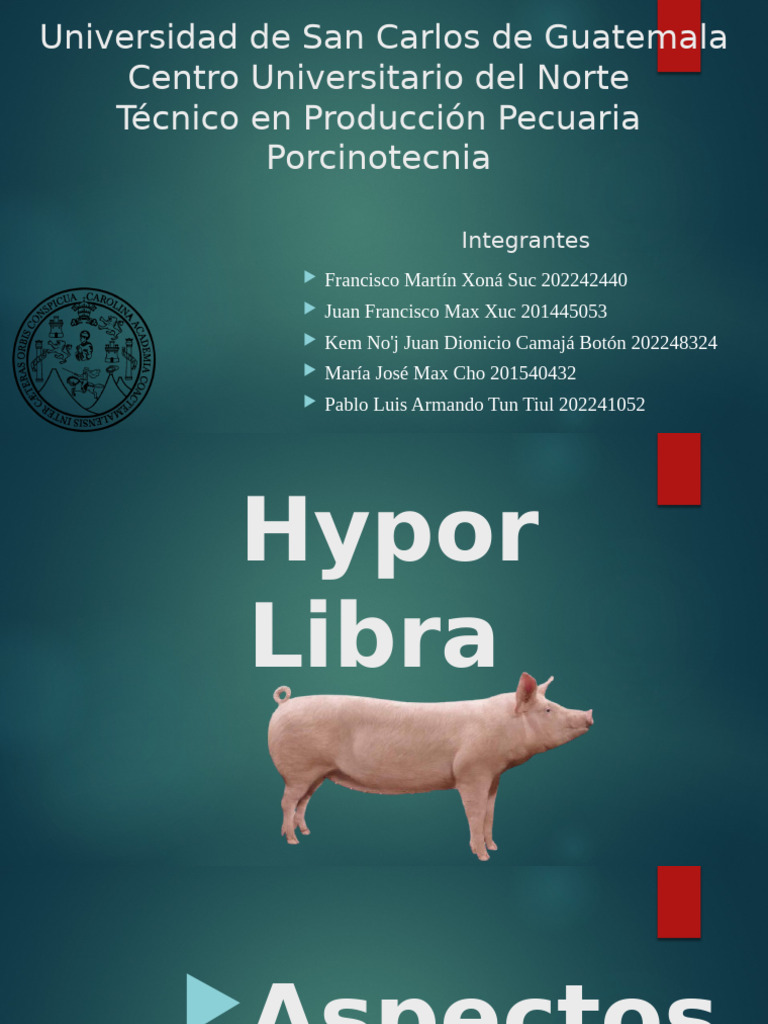 Hypor Libra Hembra y Macho | PDF