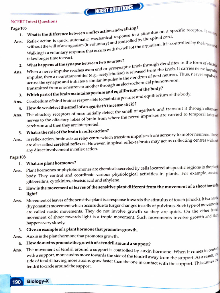 Controll Cordination Exercise Intext | PDF