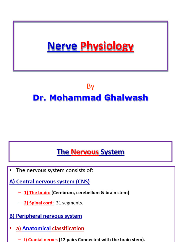 5 Nerve Physiology PDF | PDF