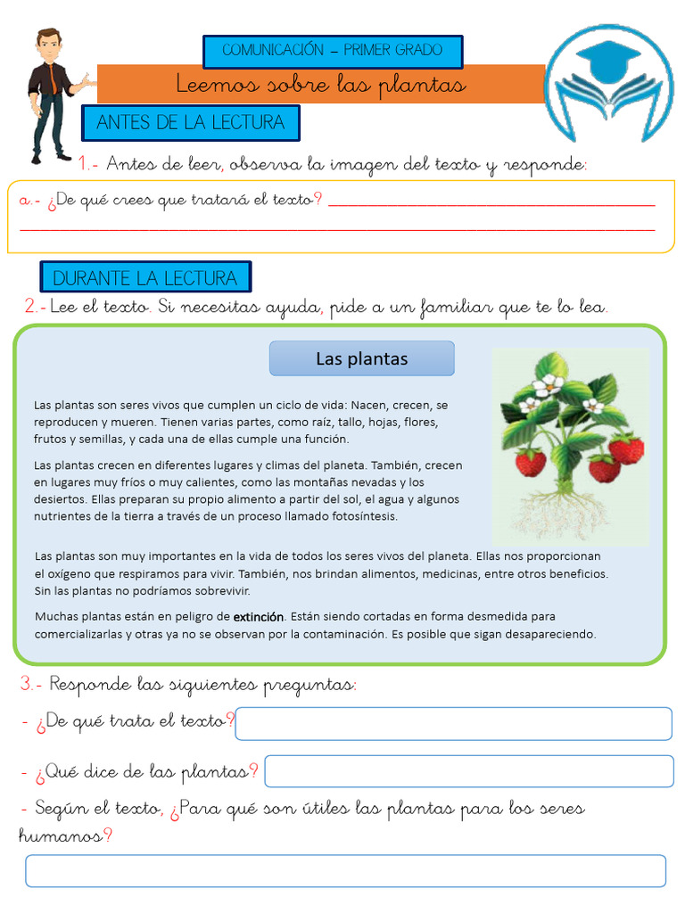 Leemos Sobre Las Plantas | PDF | Plantas | Ciencia y matemáticas