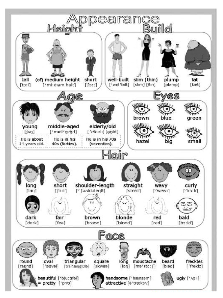 Phisical Appearance | PDF