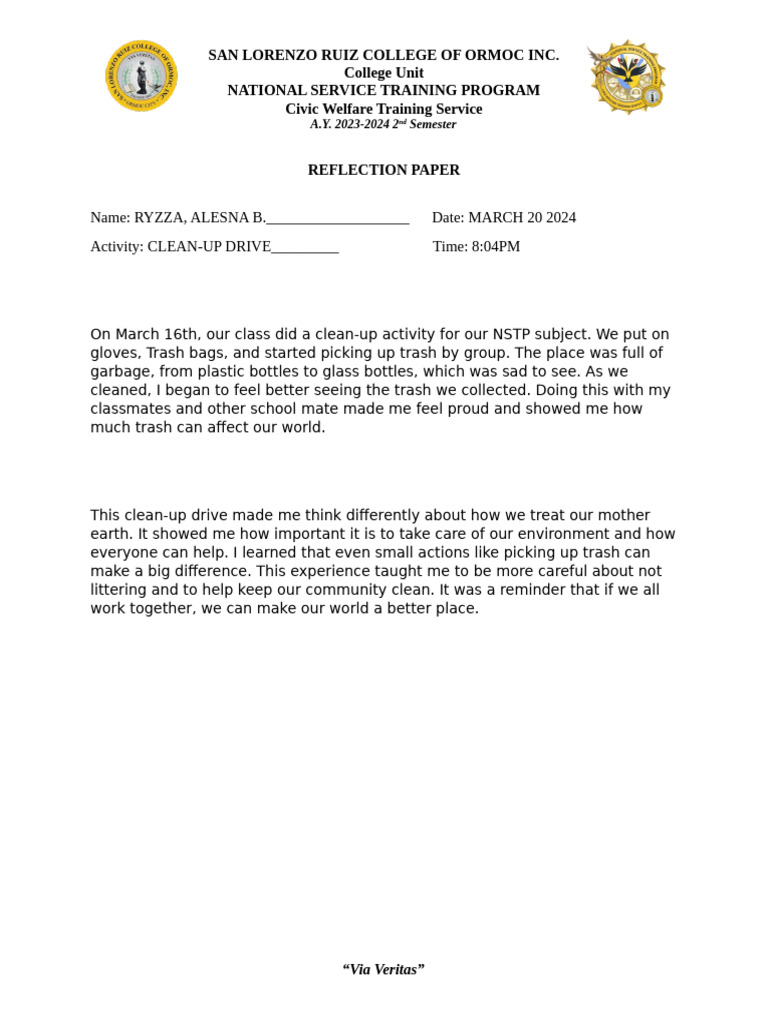 Reflection Paper Format 24 | PDF