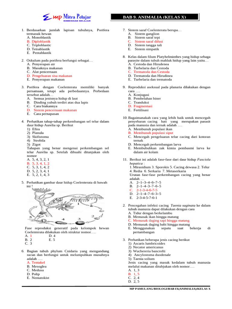 Bab 9 Animalia | PDF