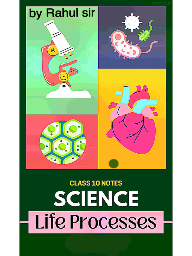 The Life Process Class 10 Notes Detail With Question Bank | PDF