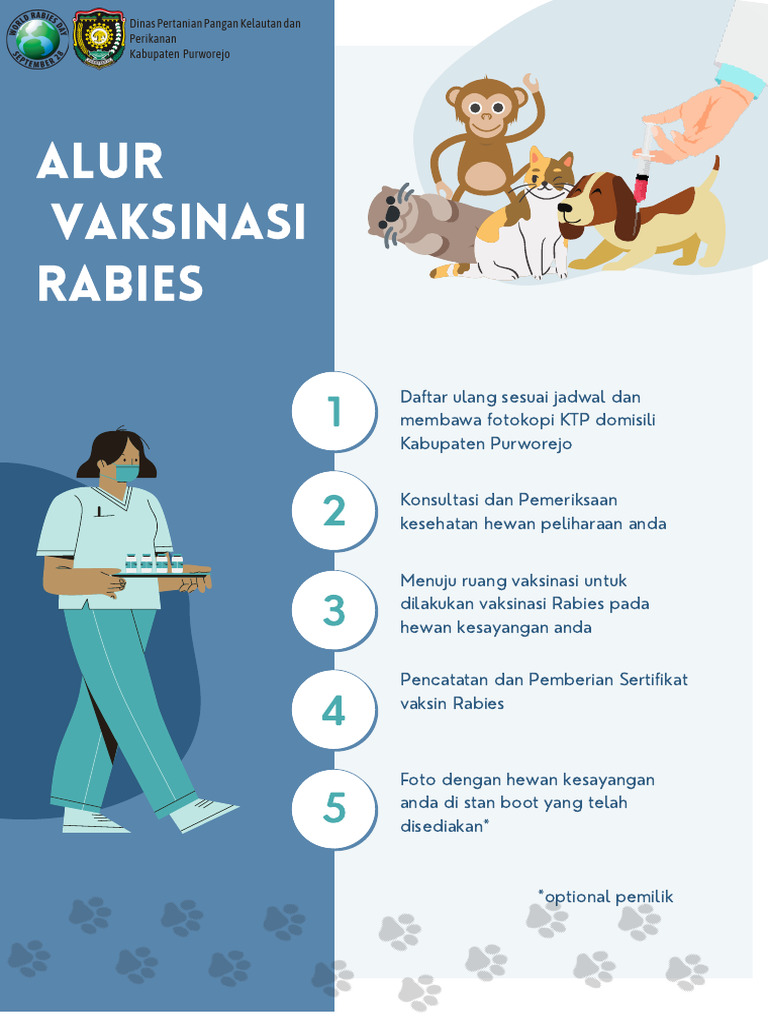 Alur Vaksinasi Rabies 2021 | PDF