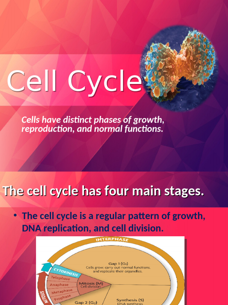 Chp-5-Cell-Cycle-Notes | PDF