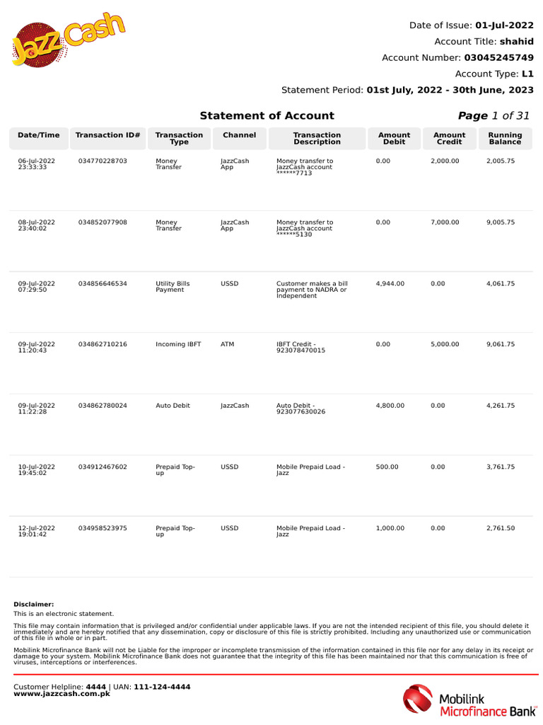 Account Statement | PDF