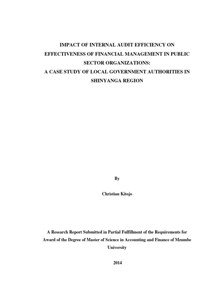 Impact of Internal Audit Efficiency On e | PDF
