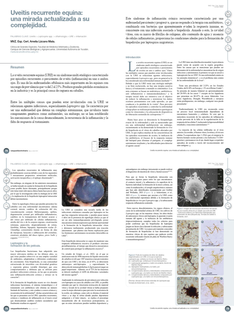 Uveitis Recurrente Equina | PDF