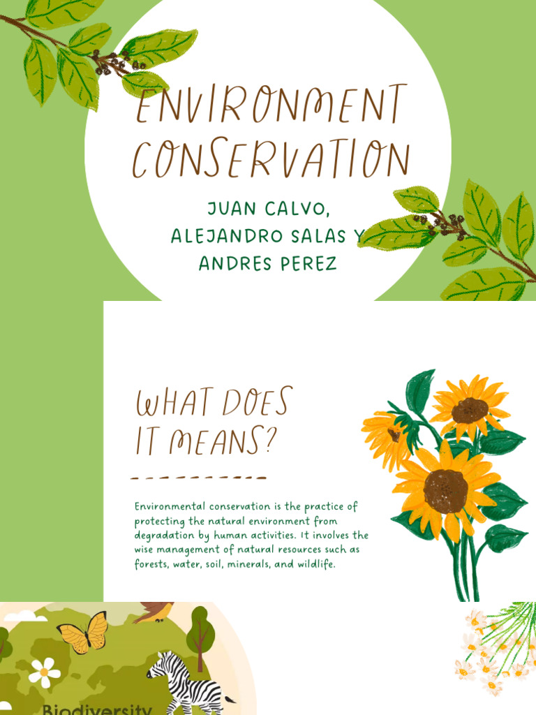 Environment conservation | PDF