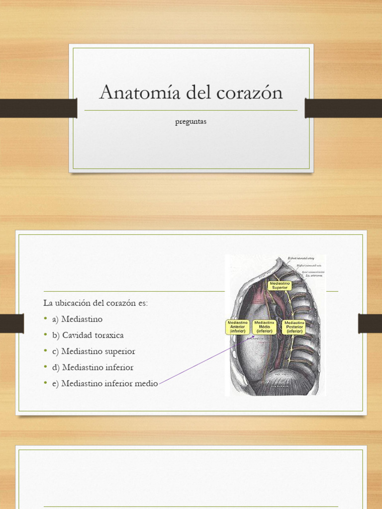 Preguntas Anatomia Corazon | PDF
