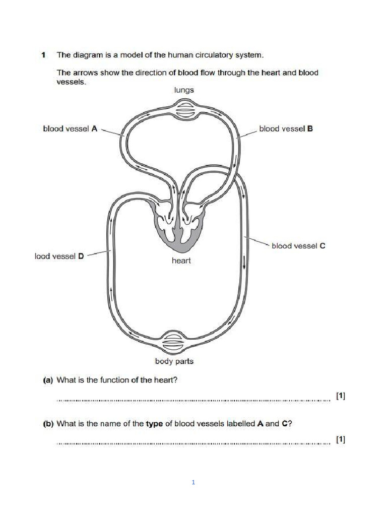 Unit 1 - The Human Body Q Bank | PDF