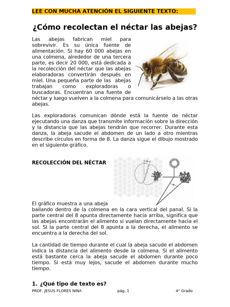 Texto Informativo - Descriptivo - Las Abejas | PDF
