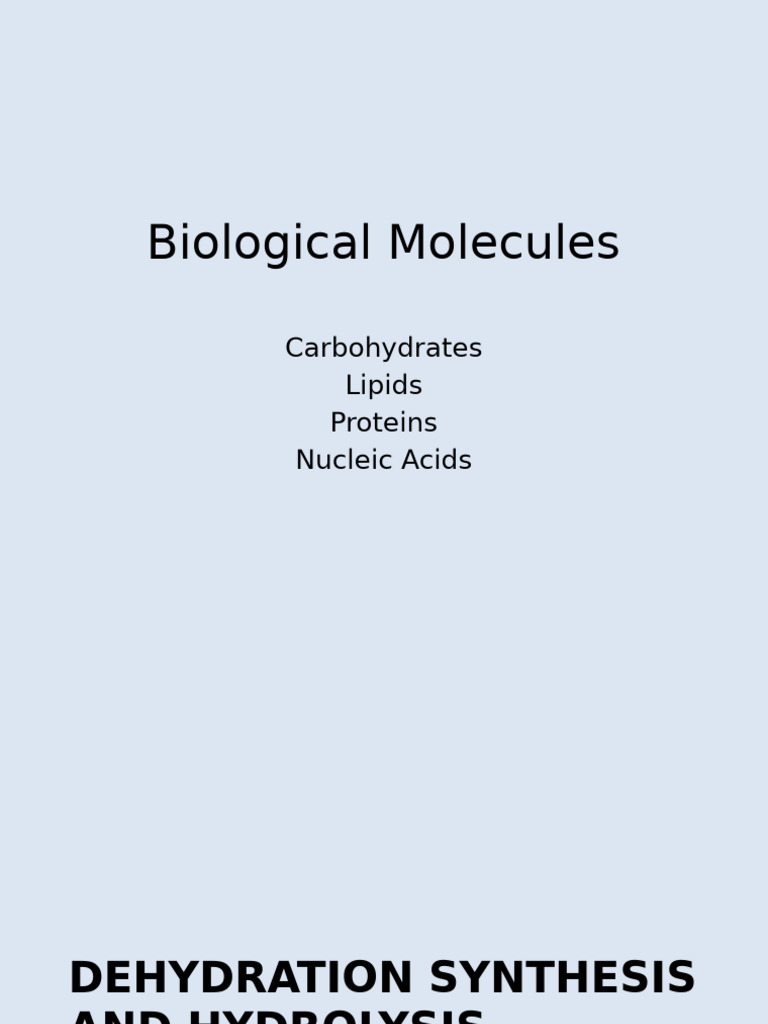 Biological Molecules | PDF
