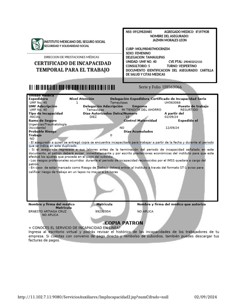 Incapacidad Imss Editable | PDF