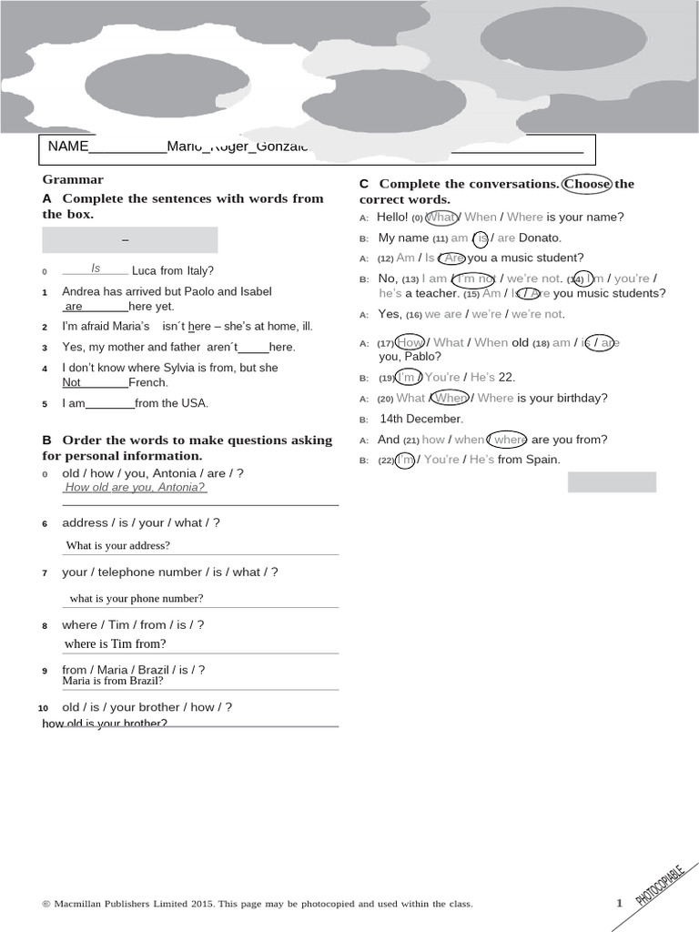 Elementary Grammar and Vocabulary Test | PDF | Human Communication ...