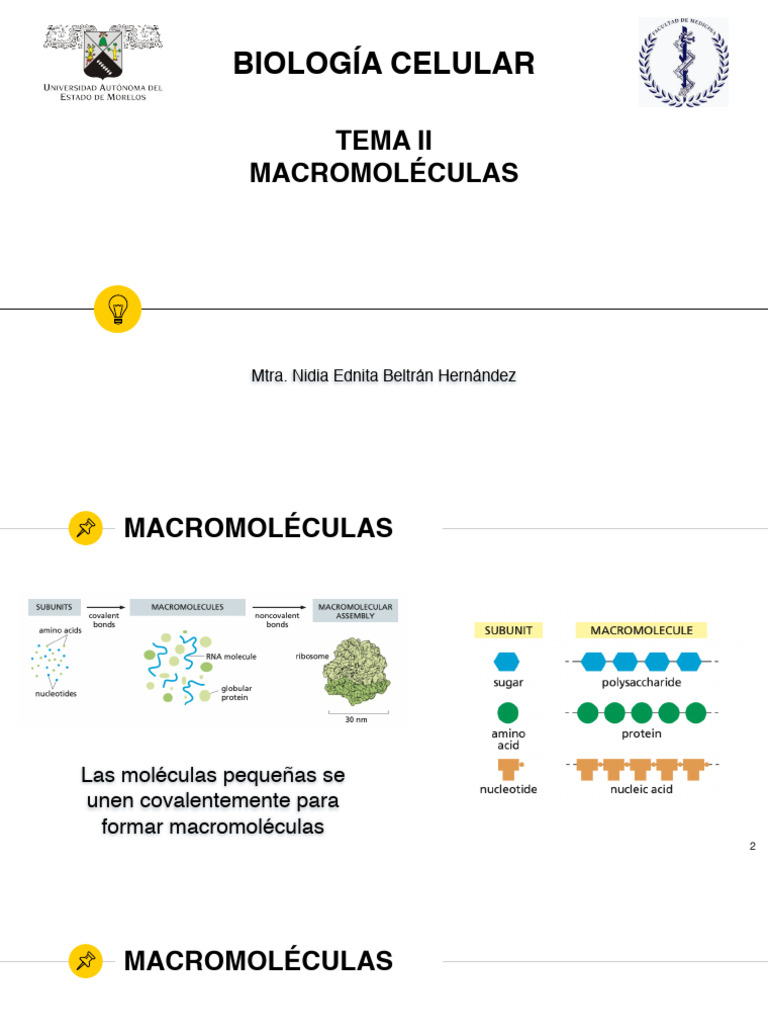 Clase Unidad I Macromoleculas | PDF
