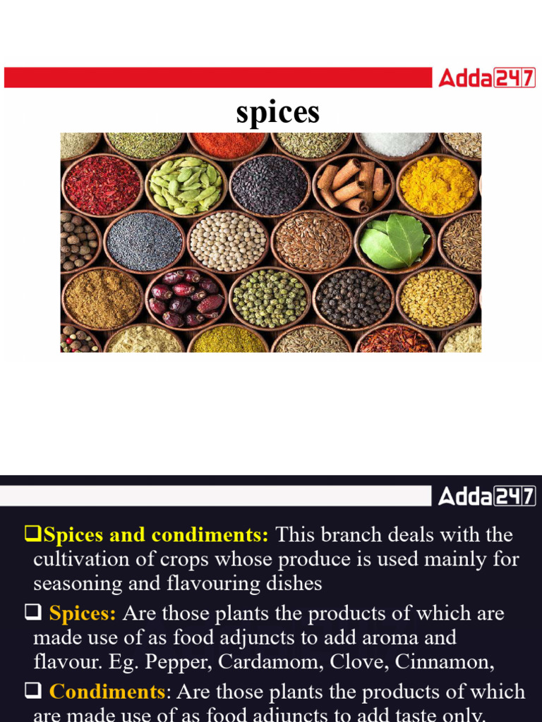 Spices and Questions | PDF