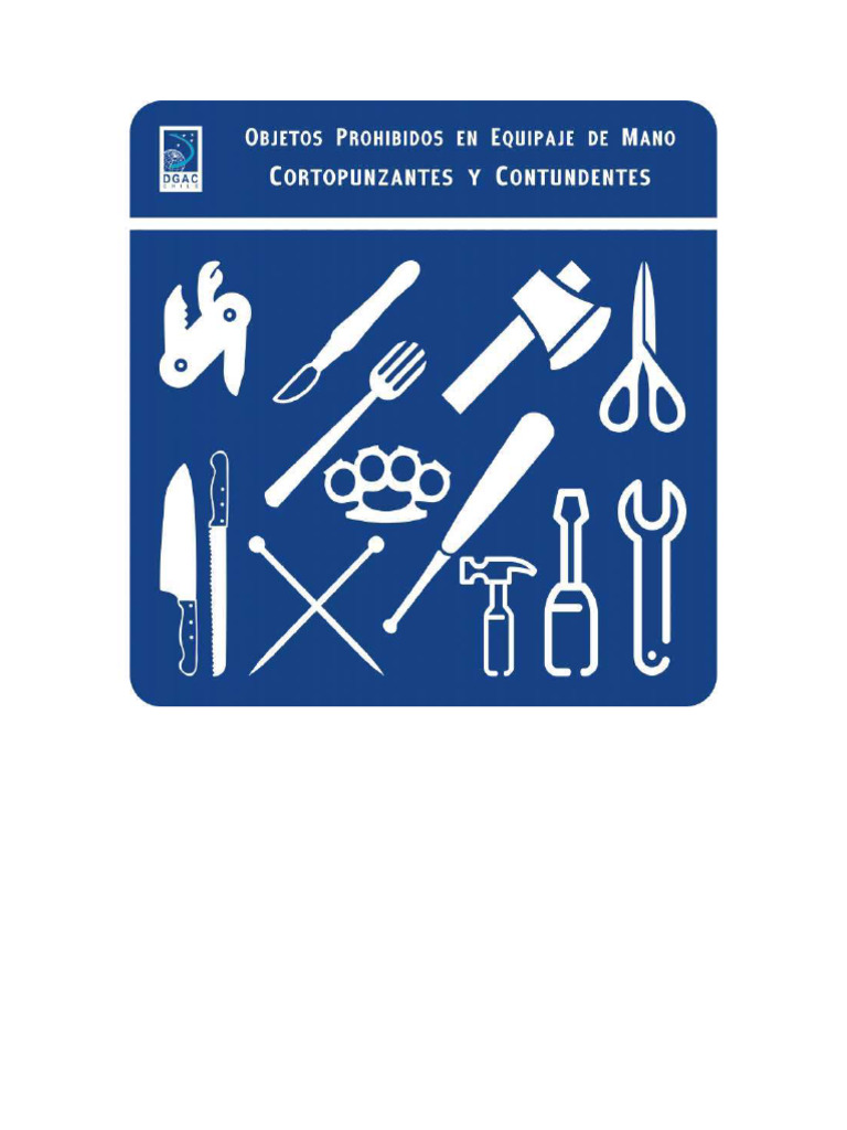 Elementos Prohibidos de Ingresar | PDF