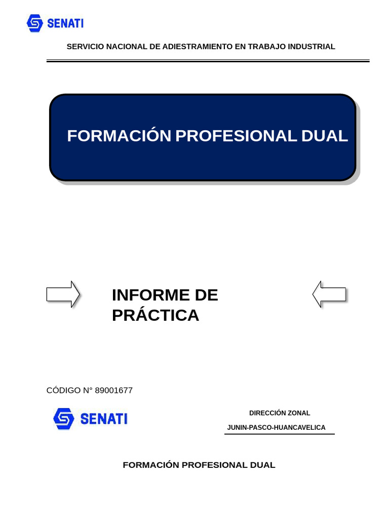 Dual Profesional Formación: Informe de Práctica | PDF