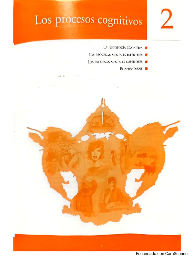 Los Procesos Cognitivos Pdf