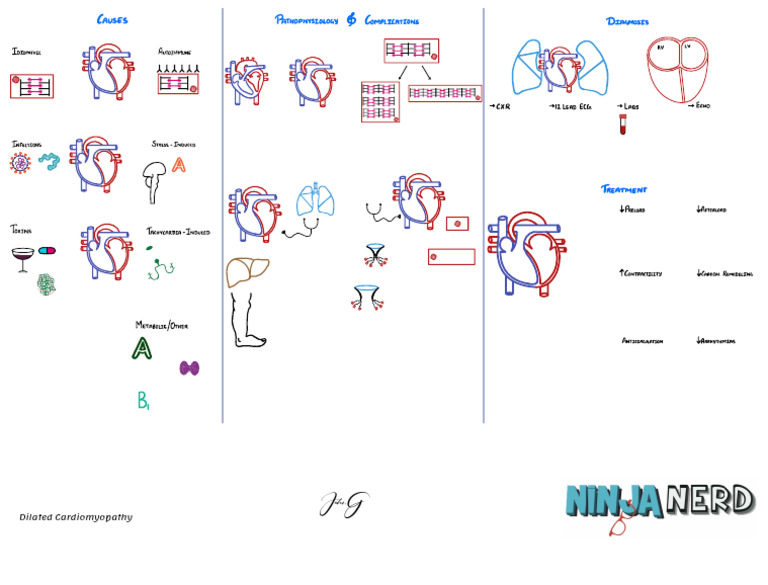 Cardiovascular Pathology - 011) Dilated Cardiomyopathy (Illustrations ...
