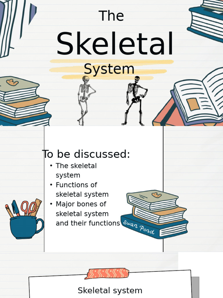 P.E Report | PDF | Skeleton | Social Science