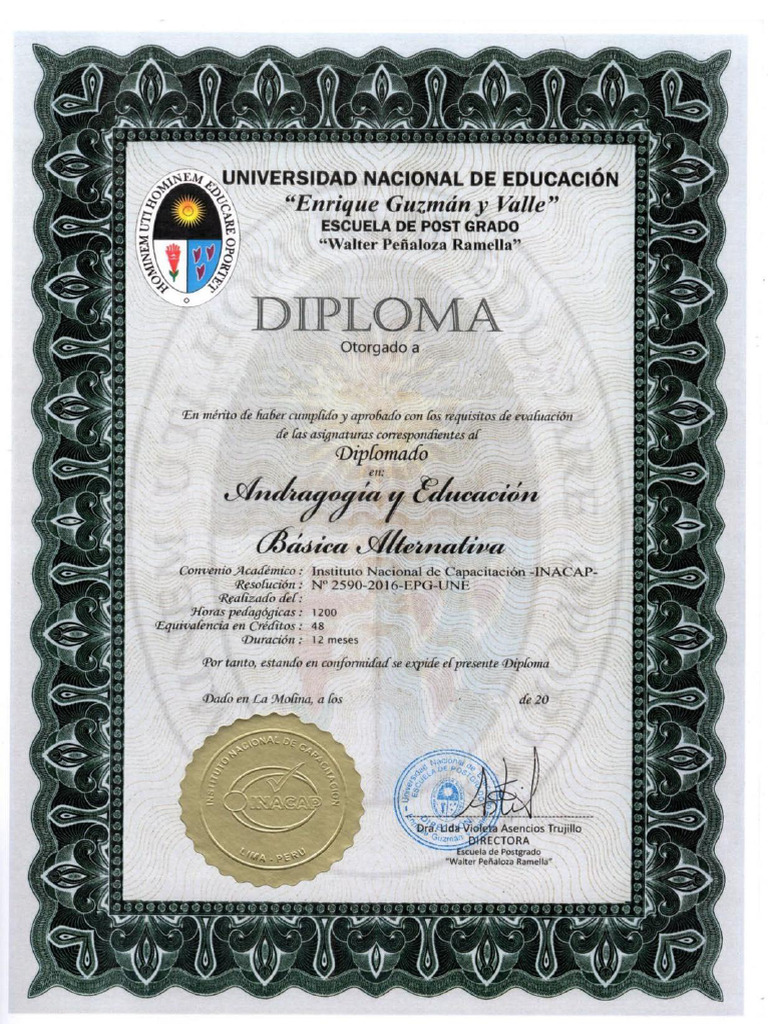 AIMIN Editable 2 | PDF