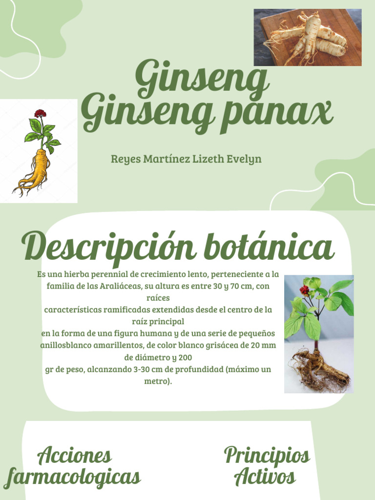 Ginseng | PDF