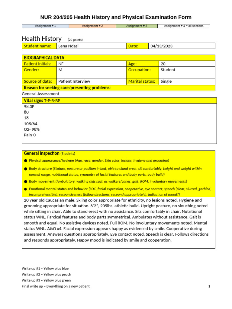 Nursing Health History Write Up #1 | PDF