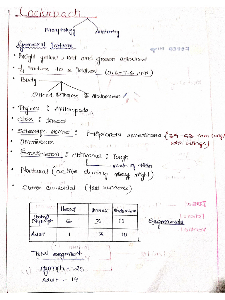 Zoology notes | PDF