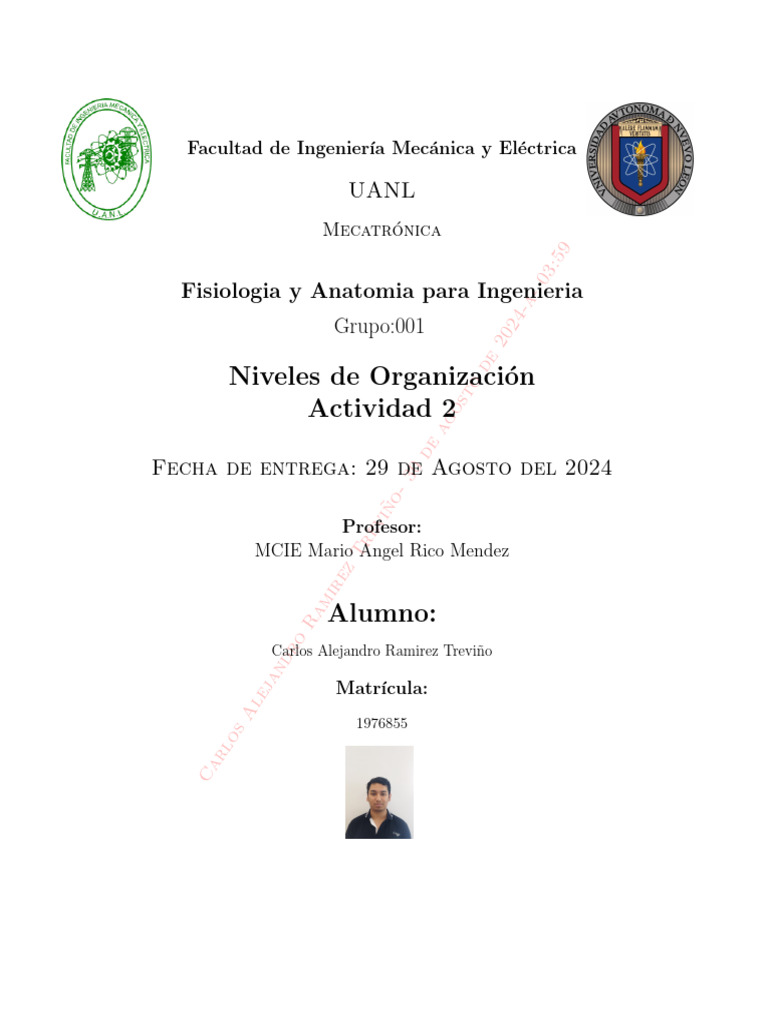 Act2 1976855 NivelesDeOrganizacion | PDF