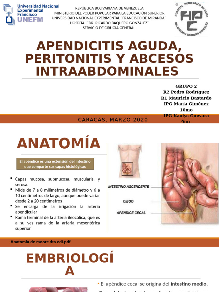 APENDICITIS | PDF