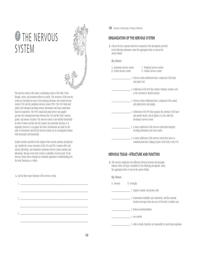 The Nervous System WS | PDF