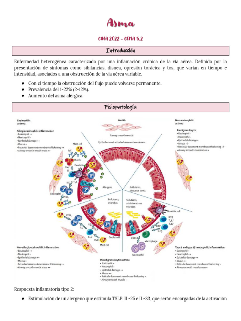 Asma (GINA) (1) | PDF