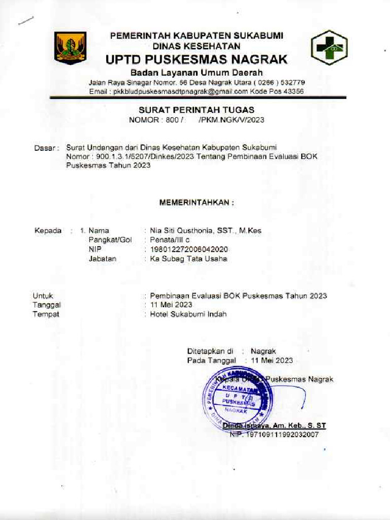 Surtug Nia SQ Format PKM | PDF