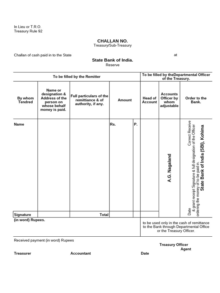 Treasury Challan | PDF