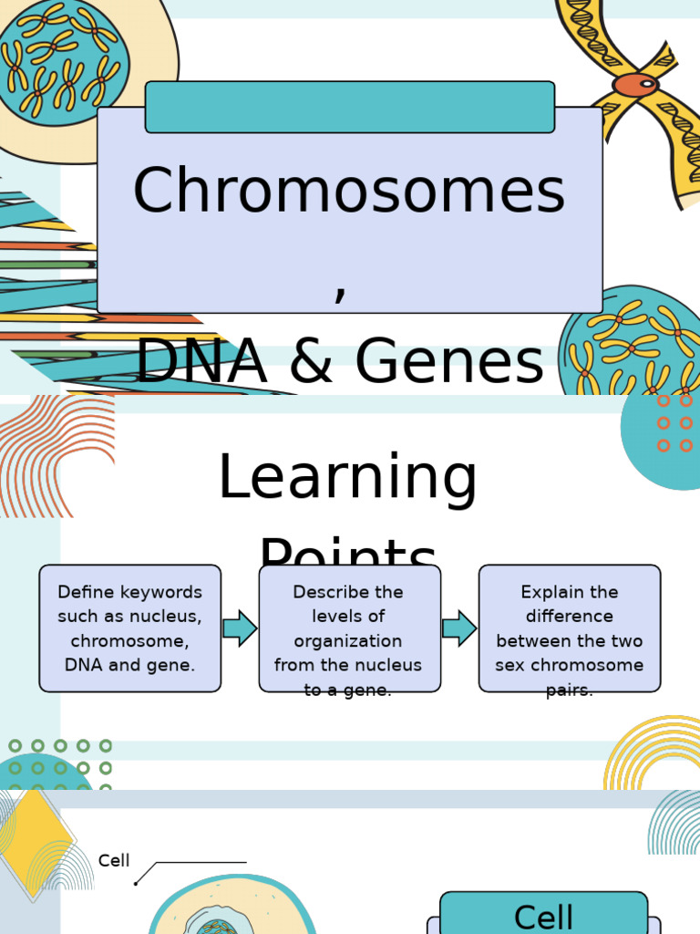 Chromosomes, DNA and Genes Biology Presentation in A Bold Colorful ...