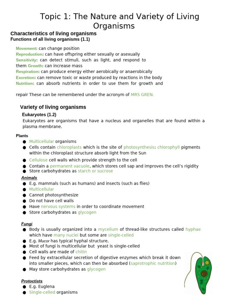 Sec. 3 - Science Handout | PDF