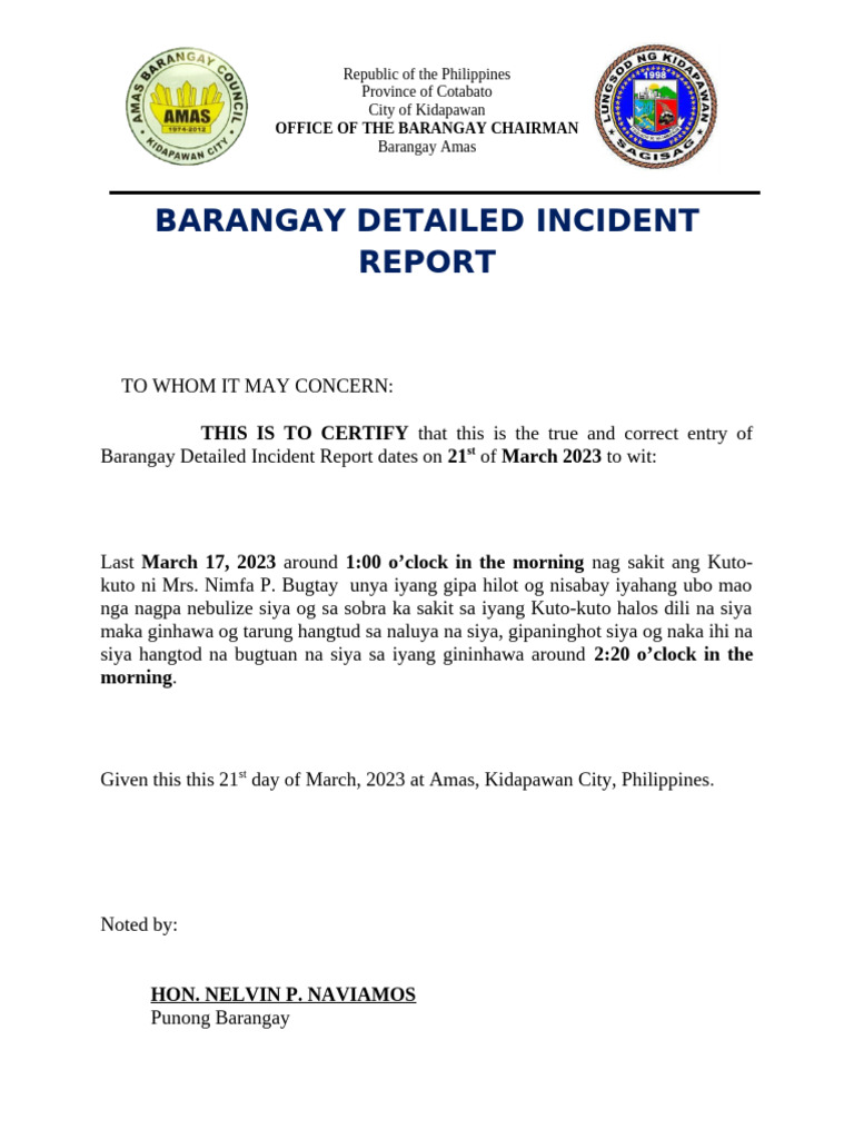 Barangay Incident Report | PDF